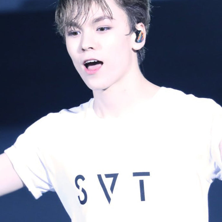 SEVENTEEN 2018 JAPAN ARENA TOUR SVT T-SHIRT – IDOLS FASHION